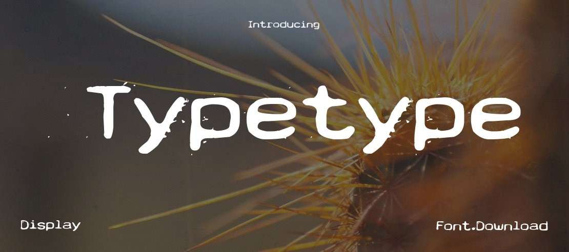 Fuentes de texto esenciales para mejorar tus diseños con TypeType